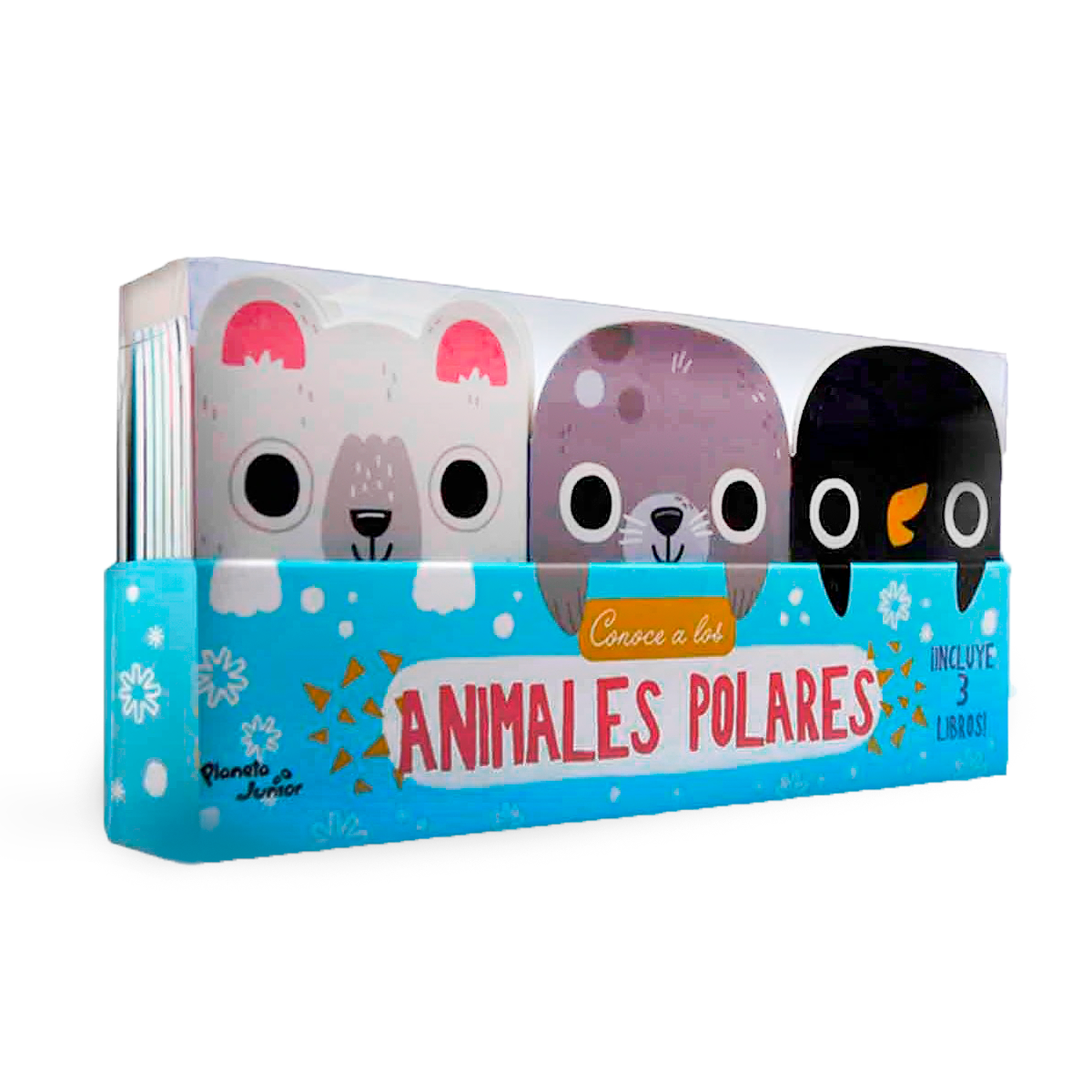 Conoce a los animales polares | Libros para niños – Circus and Zirconia